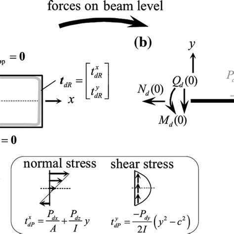 A Traction Vectors Of The Dummy Force Over The Boundary ∂ B D And B Download Scientific