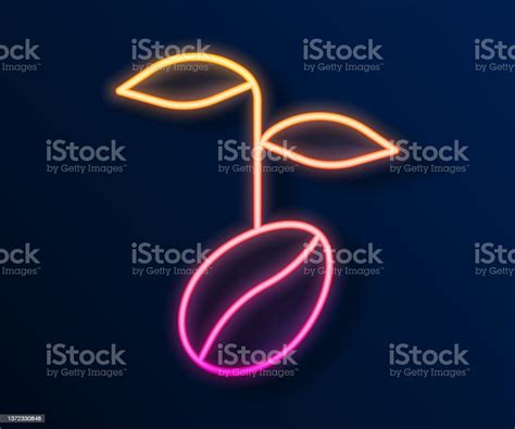 검은 색 배경에 고립 된 빛나는 네온 라인 커피 콩 아이콘 벡터 0명에 대한 스톡 벡터 아트 및 기타 이미지 0명 갈색 곡초류 Istock