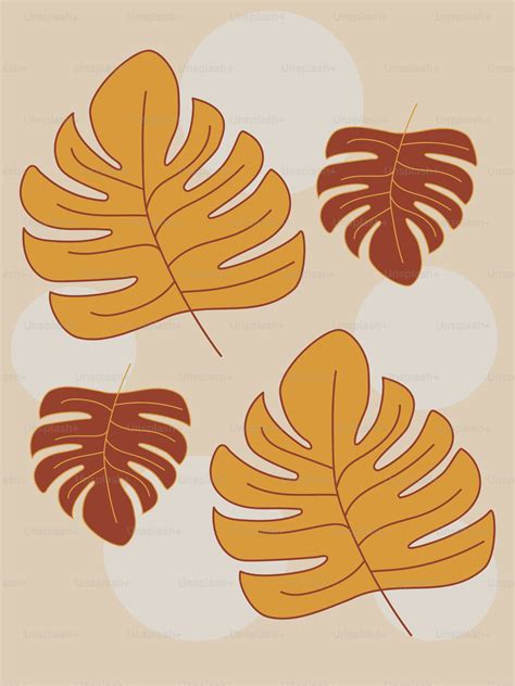베이지색 배경에 4 가지 종류의 나뭇잎 벡터 Unsplash의 개요 이미지