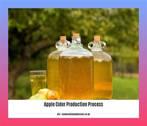 A Comprehensive Guide To The Apple Cider Production Process