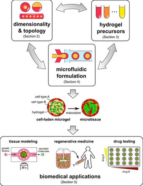 If 72 087！《chem Rev 》综述：用于微组织工程的拓扑水凝胶的微流控配方！ 知乎
