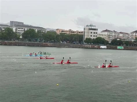 2023年浙江省青少年皮划艇锦标赛丽水代表队喜获佳绩澎湃号·政务澎湃新闻 The Paper