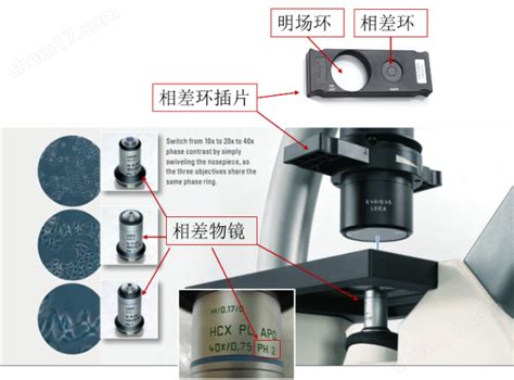 奥林巴斯显微镜bx53的观察方式 北京瑞科中仪科技有限公司