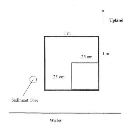 Layout Of Invertebrate Sampling Method Download Scientific Diagram