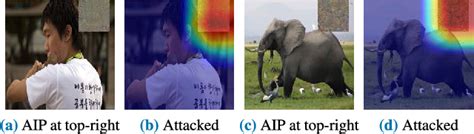 Figure 6 From Robust Adversarial Attack Against Explainable Deep