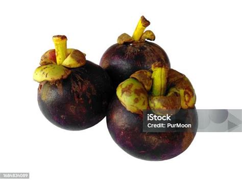 검은 과일 또는 열대 망고스틴은 흰색 배경에 분리되어 있다 흰색 바탕에 Garcinia Mangostana 맛있고 신선한 망고 스틴 과일 0명에 대한 스톡 사진 및 기타