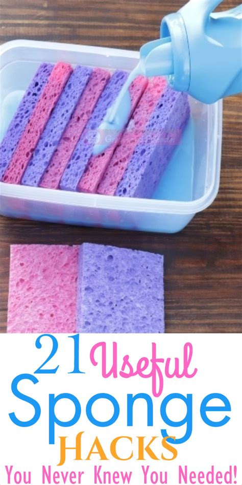 21 Sponge Hacks You Need To Know Artofit