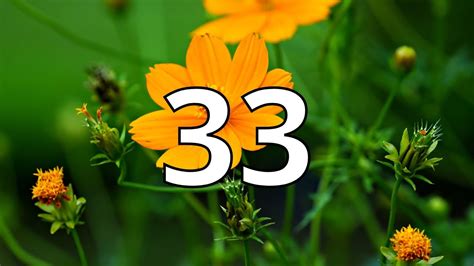33 Second Countdown Timer With Alarm Sound At The End Simple Beep
