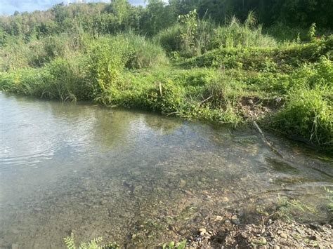 อย่าพลาดดีลเด็ดโปรดี ขายที่ดินติดลำธารน้ำใสไหลริน ชุ่มฉ่ำตลอดปี สวยวิวล้าน 800000บาท 3 0 35ไร่