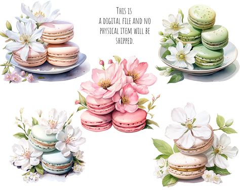 Watercolor Macaroon Clipart Sweets Illustration Png 15 Files Etsy