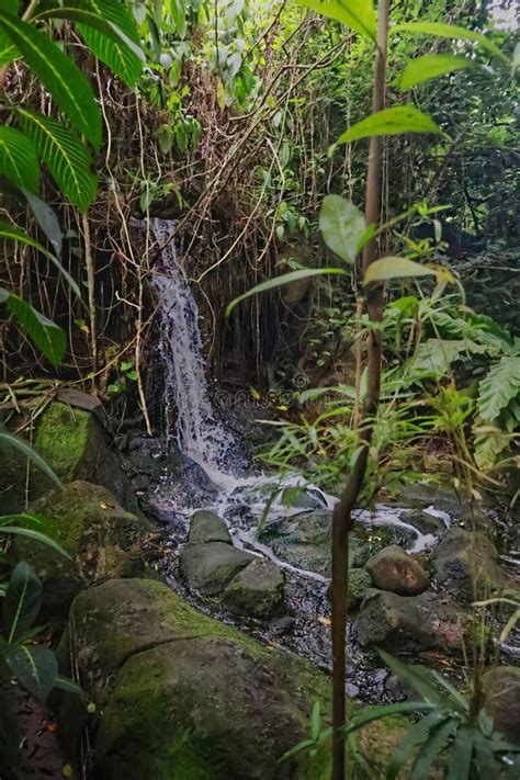Small Streams Are In Camera High Speed Shutter Mode Stock Image