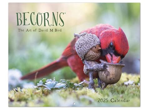 David Bird Acorns Album On Imgur