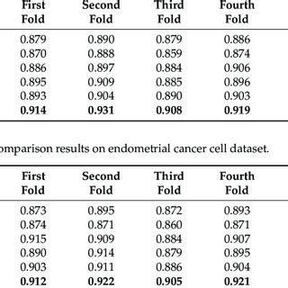 Dice Coefficient Comparison Results On Endometrial Cancer Cell Dataset Download Scientific