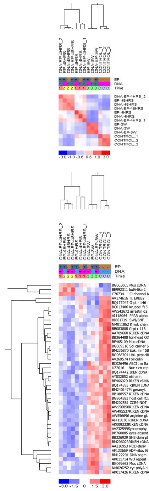 Sample Correlation Matrix And Hierarchical Cluster Analysis Of Gene