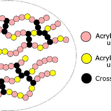 Schematic Representation Of The Proposed Structure Of Commercial Ppg