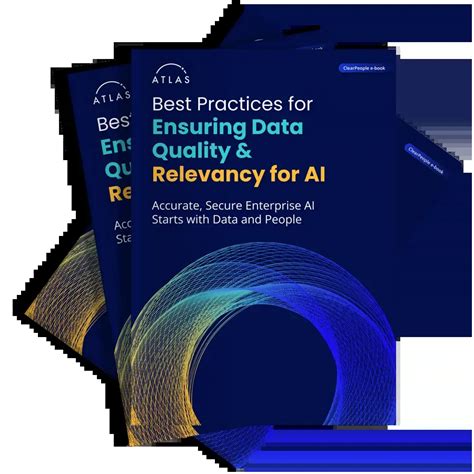 Best Practices For Ensuring Data Quality And Relevancy For Ai E Book