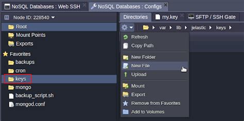 Mongodb Replication And Automated Failover Configuration Guide Virtuozzo