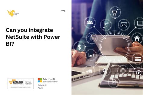 Can You Integrate Netsuite With Power Bi Pegasus One