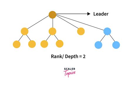 Disjoint Set Union Find Algorithm Scaler Topics