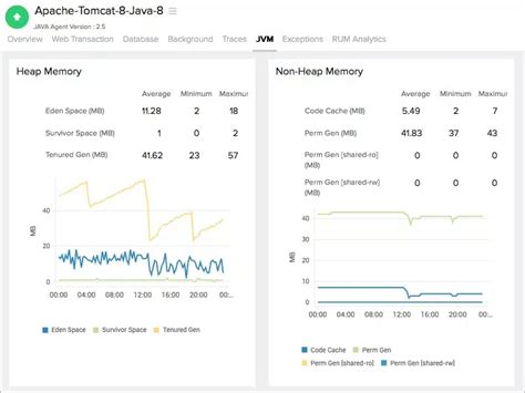 Apache Tomcat Monitoring Guide Best Tools For