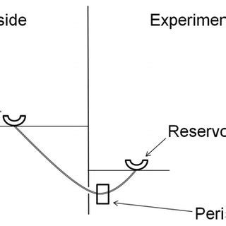 Depiction Of The Self Refilling Soup Bowl Apparatus Download