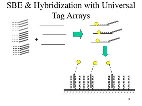 Ppt Combinatorial Optimization Methods For Reliable Genomic Based Detection Systems Powerpoint