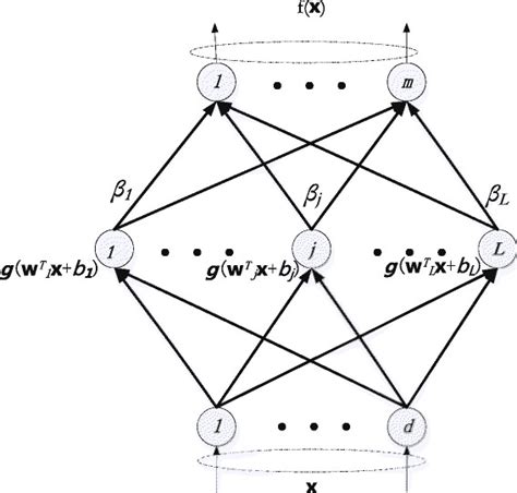Single Hidden Layer Feedforward Network Download Scientific Diagram