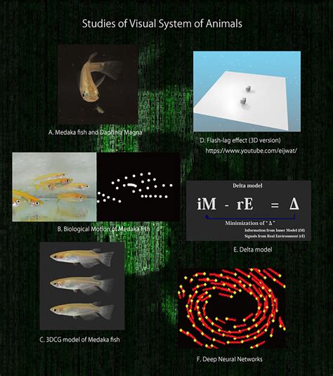 National Institute For Basic Biology Nibb Departments