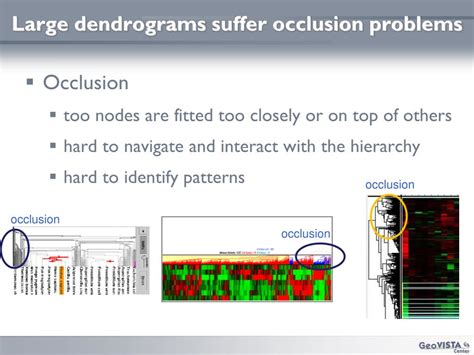 Ppt Constructing Overview Detail Dendrogram Matrix Views Powerpoint