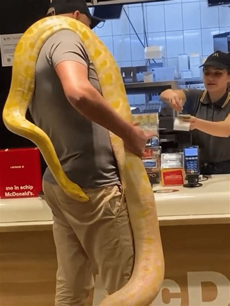 अजगर लेकर रेस्टोरेंट पहुंच गया शख्स फिर देखिए क्या हुआ Video Tv9