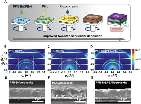 A Schematic Illustration Of The Improved Two‐step Sequential Download Scientific Diagram