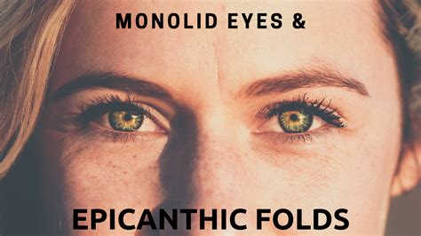What Are Monolid Eyes Epicanthic Fold