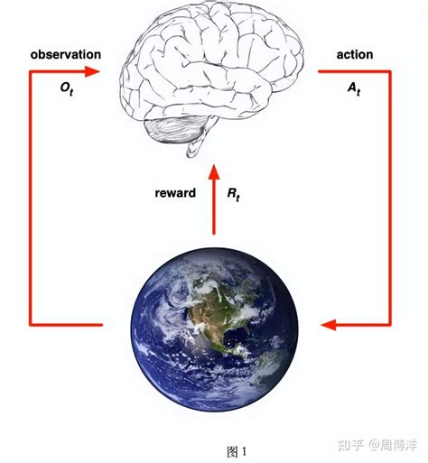 草履虫也能学会的强化学习系列（1） 知乎