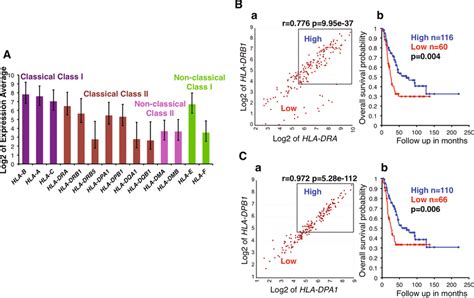 High Level Expression Of Classical Hla Class Ii Genes In High Risk Download Scientific Diagram