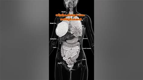 സ്ത്രീകള്‍ക്ക് മാത്രം ഉള്ള 6 താരം രതിമൂർച്ചകള്‍ Sex Education Malayalam Youtube