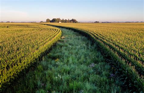 How To Create A Buffer Strip A Step By Step Guide