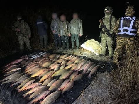 В Одеській області браконьєри наловили риби на понад 450 тисяч гривень фото — УСІ Online