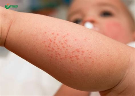 D Ng Th C Ph M V Nh Ng I U B N C N L U