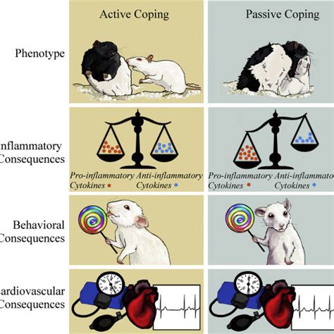 Behavioral And Physiological Stress Related Consequences Are Unique To