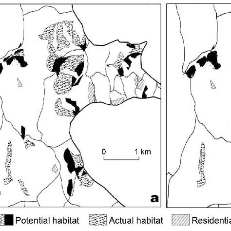 Part Of Potential And Actual Foraging Habitat Of Humes Pheasant In