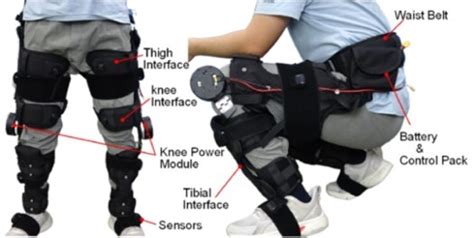 Evaluation Of Cnn Algorithm At Locomotion Mode Identification For A Knee Assisted Exoskeleton