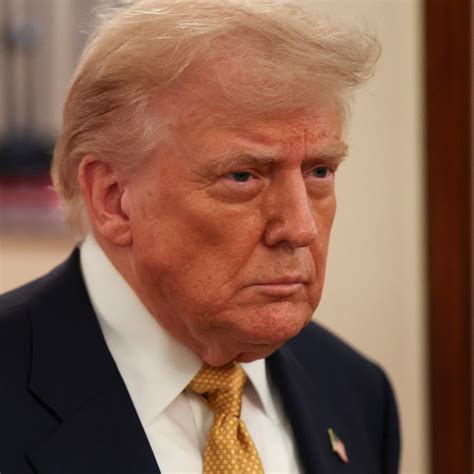 Why This Cute Marsupial Ghosts Its Mate After Sex Abc Listen