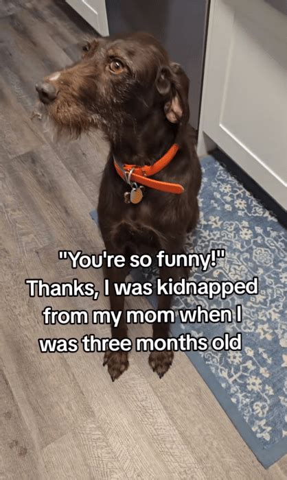 The Youre So Funny Meme And Tiktok Trend Hits A Little Too Hard