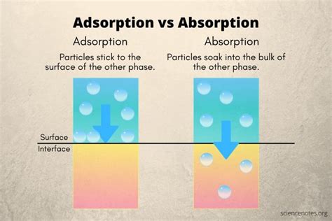 Adsorption Vs Absorption Differences And Examples