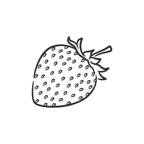 Premium Vector Strawberry Line Art Vector Illustration