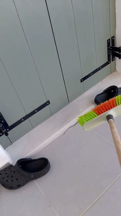 Ужас Очень ядовитая змея на балконе Music змея ядовитая ужас Youtube