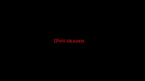 Ipv4 Header In Detail