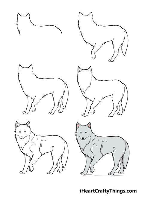 Arctic Fox Drawing How To Draw An Arctic Fox Step By Step