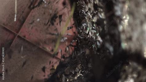 Vidéo Stock Process of making compost from organic waste Stages of the process of making