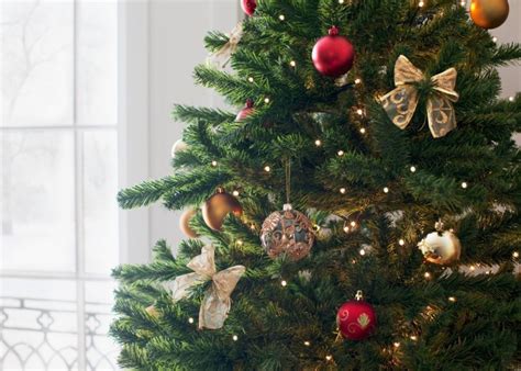 Buy Christmas Trees In Hong Kong From These Spots Honeycombers